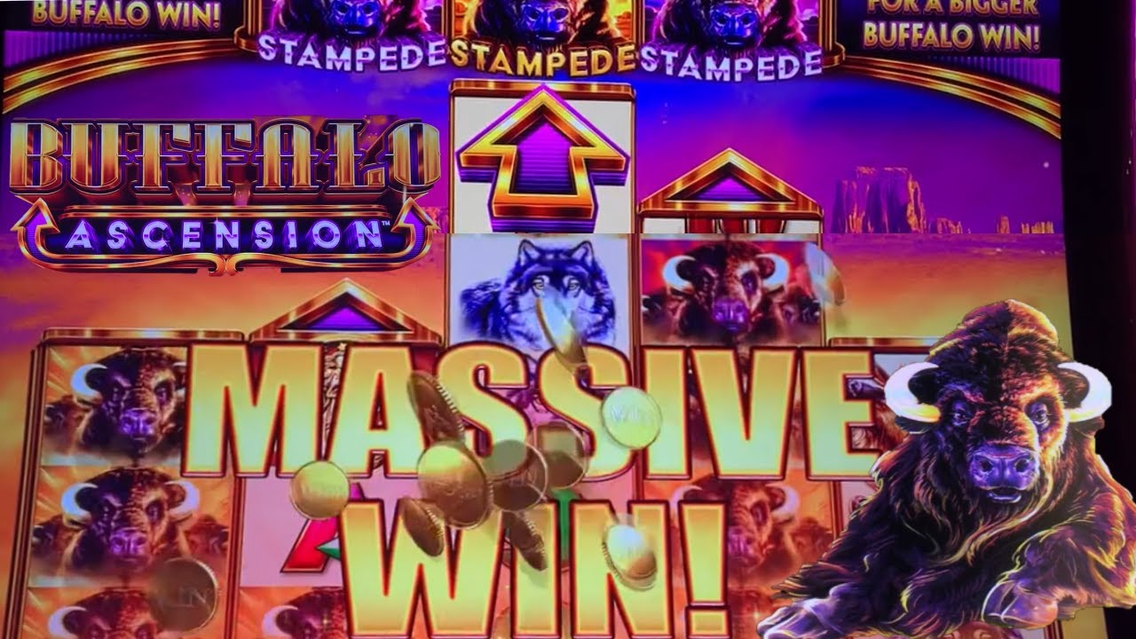 Got my First SUPER STAMPEDE on Buffalo Ascension, Massive Win! 🤑 - YouTube