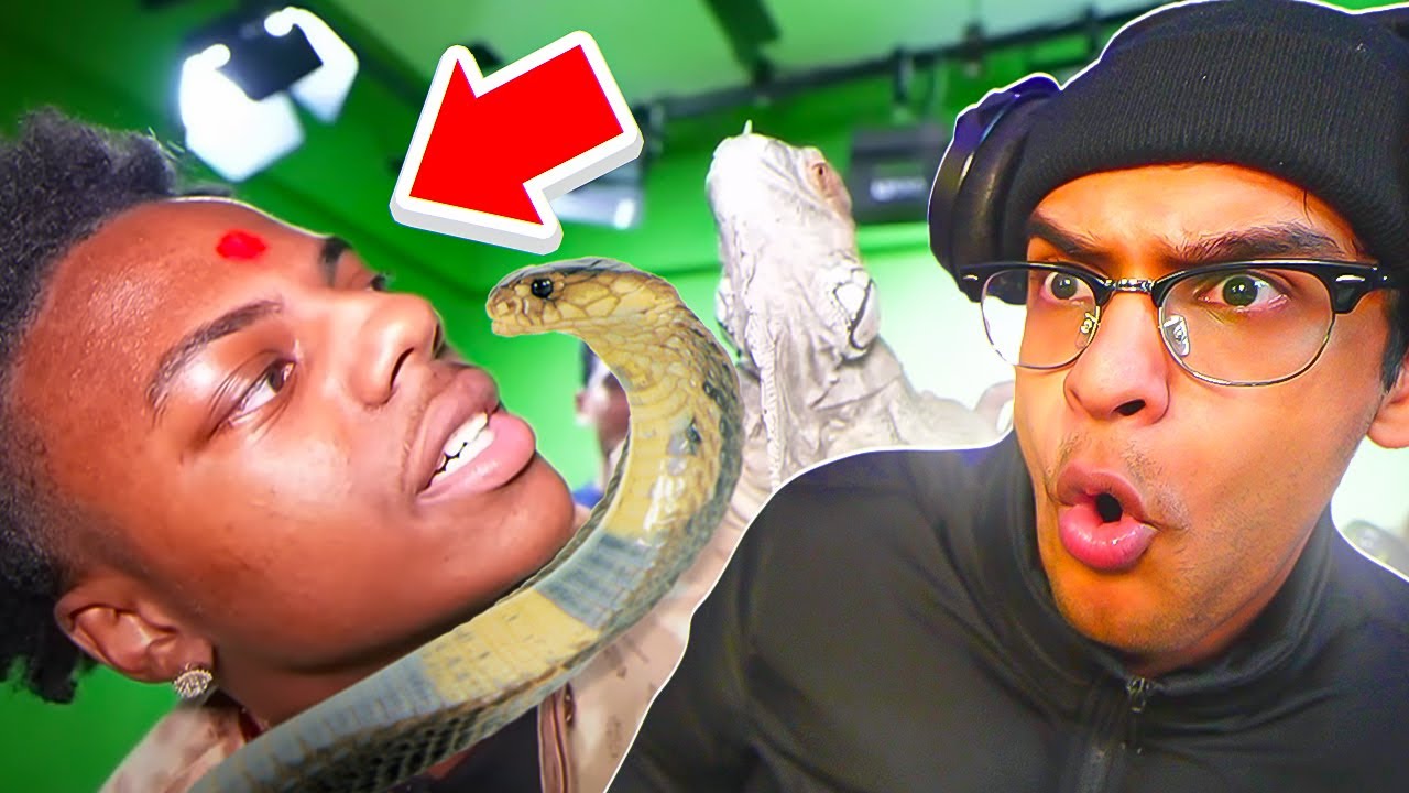 IShowSpeed Bit By Snake in India! (best moments) - YouTube