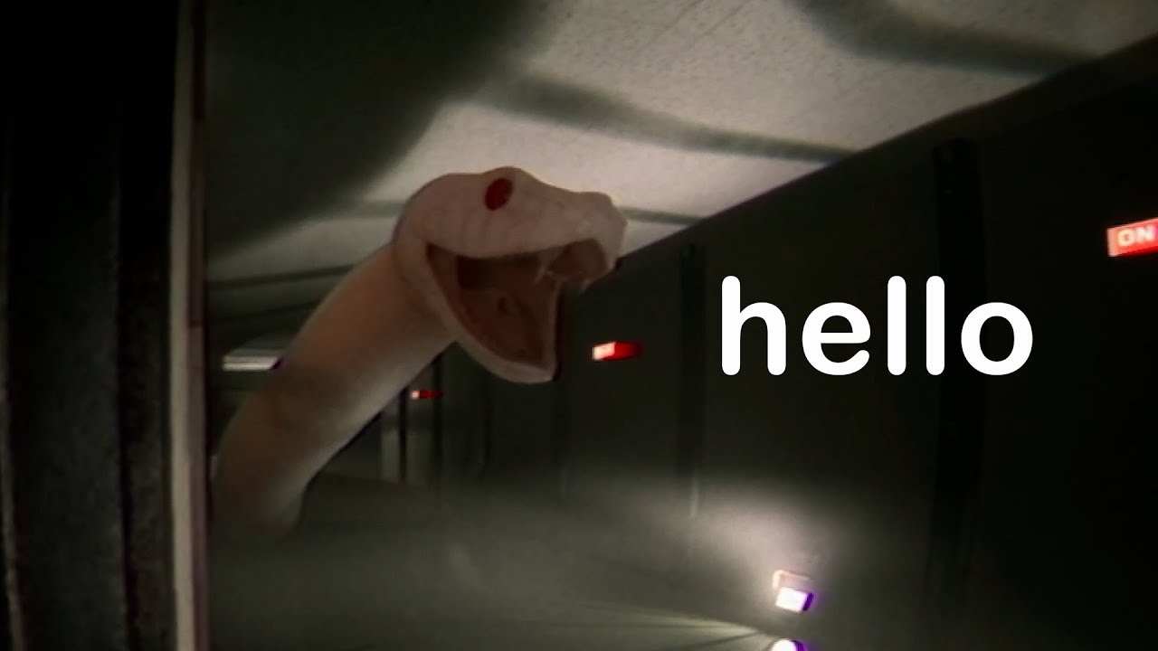 Being Stalked by a Giant Snake | Digested - YouTube