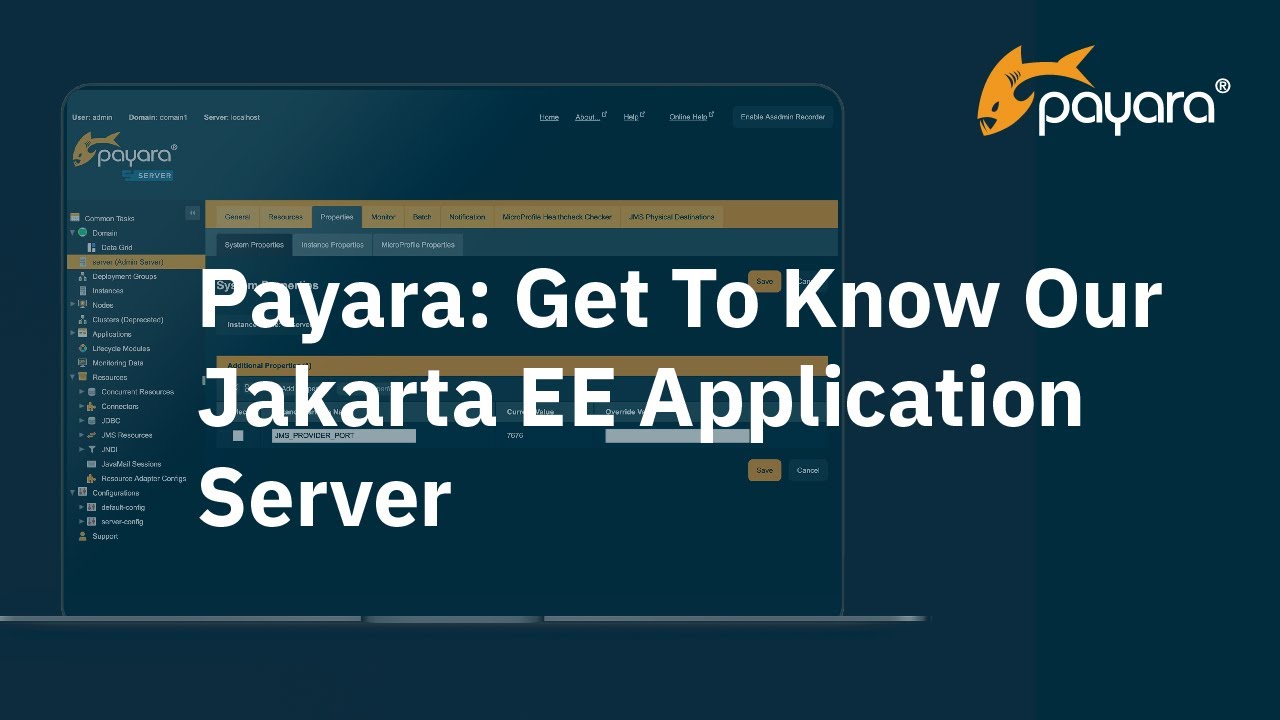 Payara: Get To Know Our Jakarta EE Application Server - YouTube