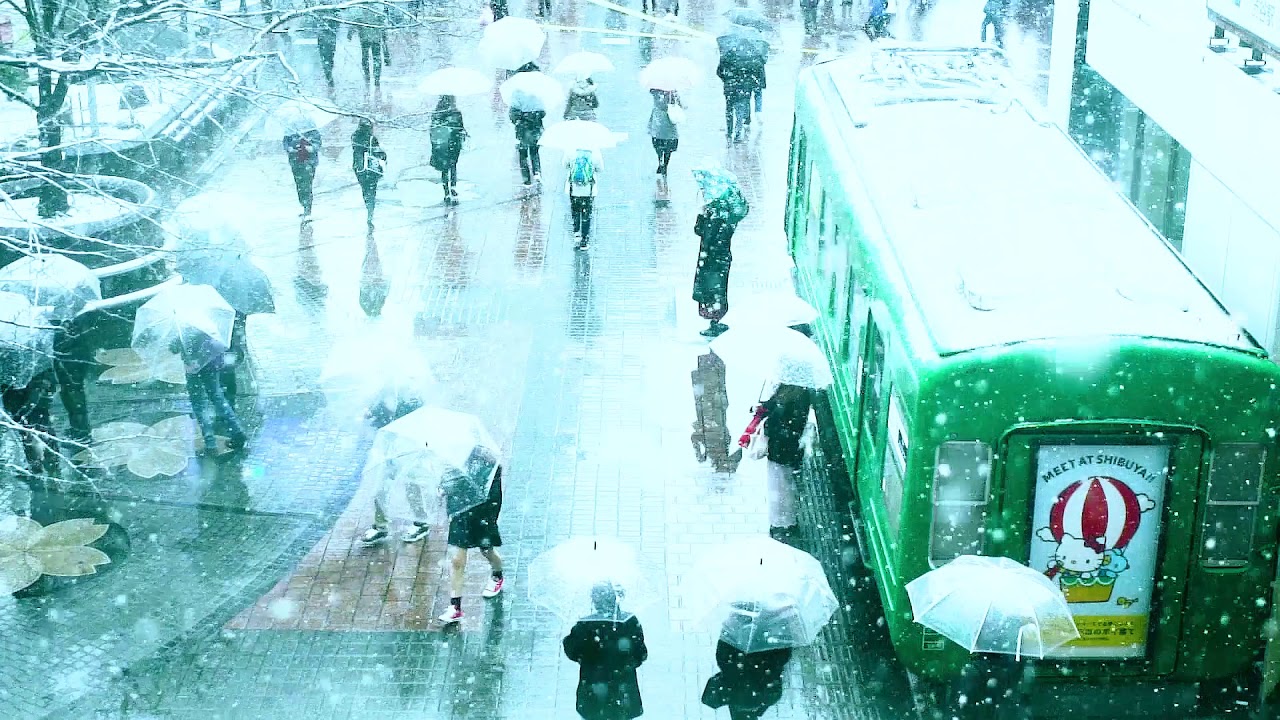 Shibuya Snow - Falling Up - YouTube