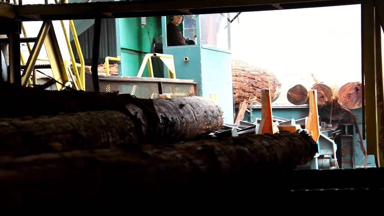 The Live Deck: Bringing Logs into the Lumber Mill - YouTube