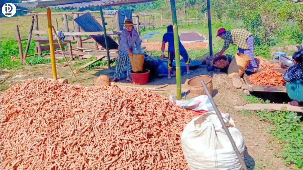လိပ်သိုမြို့ Community Centre ခန်းမ၌ “နနွင်းစိုက်ပျိုး ဝင်ငွေတိုး