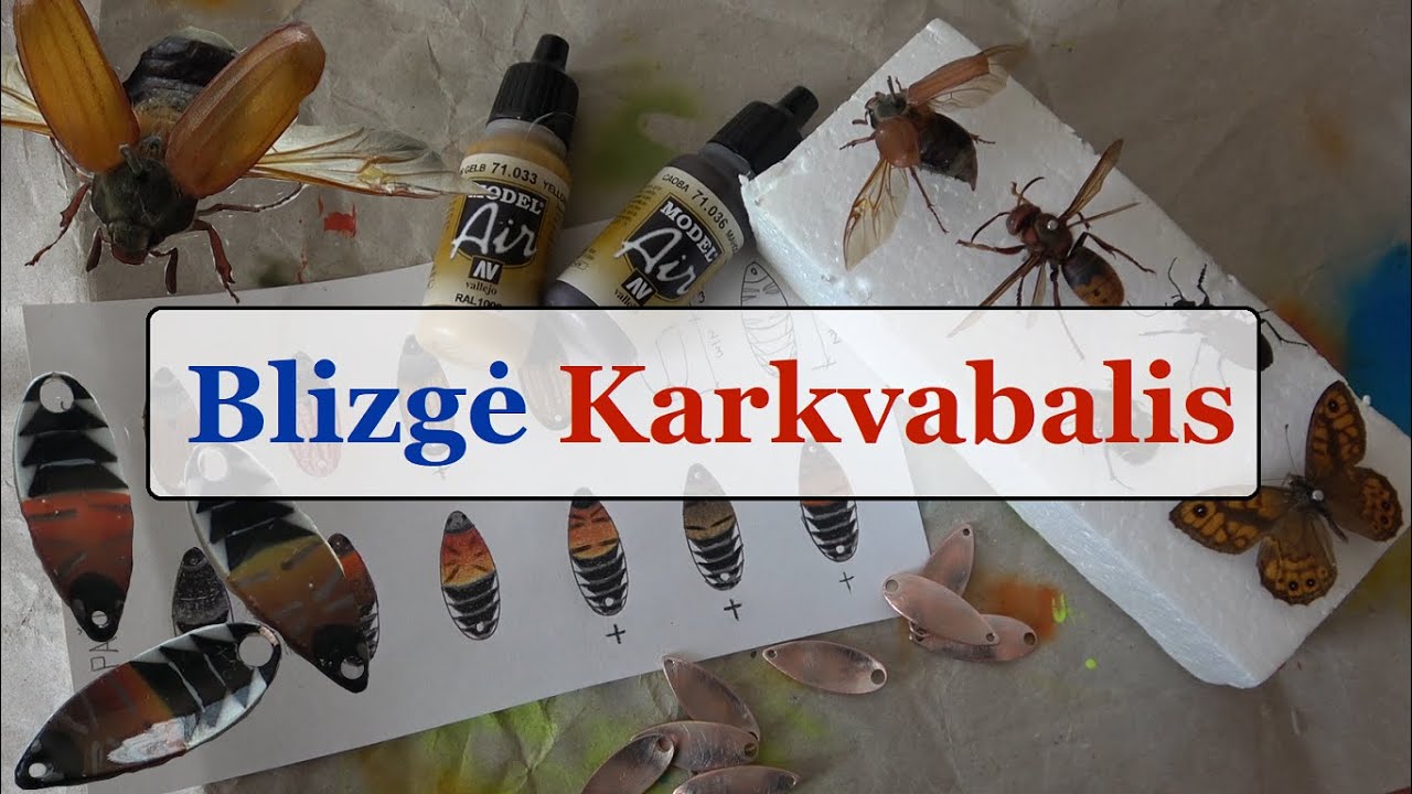 Blizgė Karkvabalis - Gabrielius Ser - YouTube