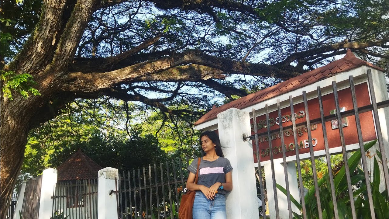 දෙයියනේ ලස්සන 🥺| university of colombo 🥺 ️ | #unilife # ...