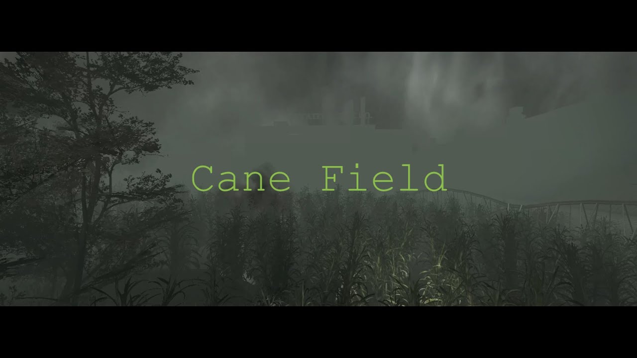 [L4D2] Cane Field Solo Gold - YouTube