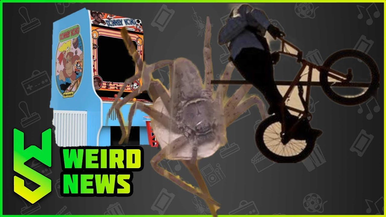 Weird News (Live!) | GIANT ARCADE, STOWAWAY SPIDER, BMX IN THE CLOUDS ...