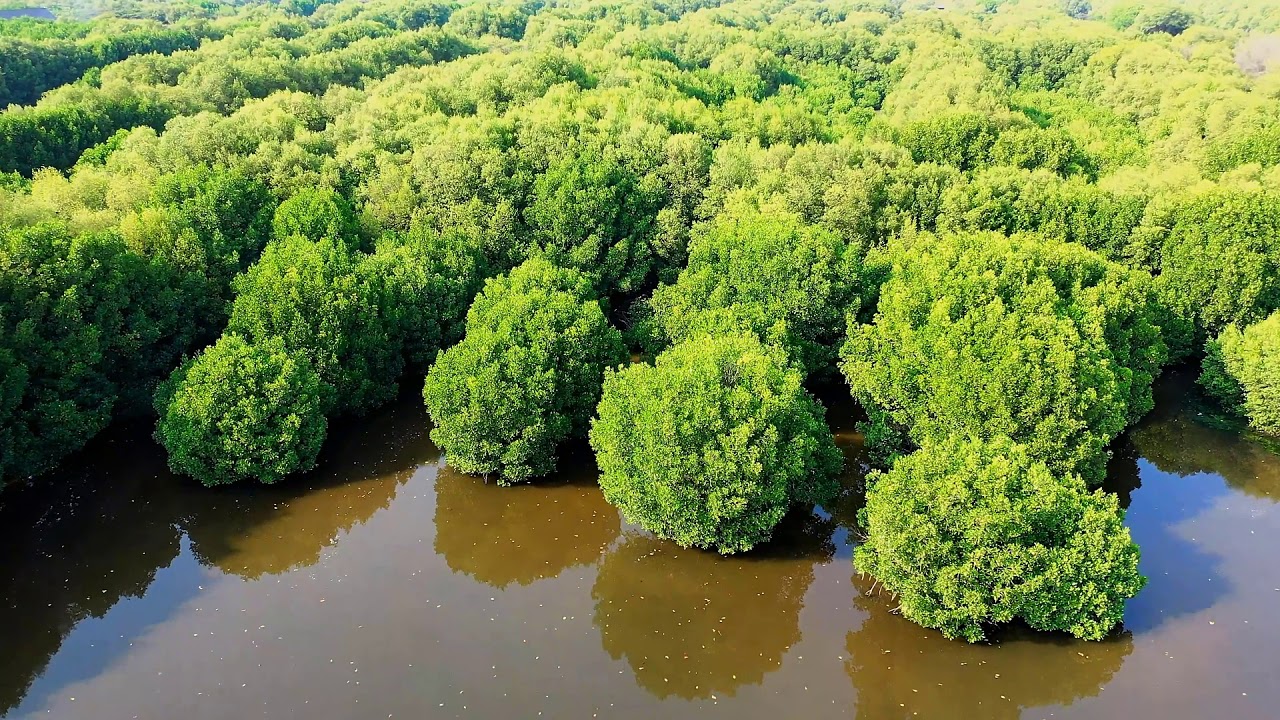 scenic videos HD - YouTube