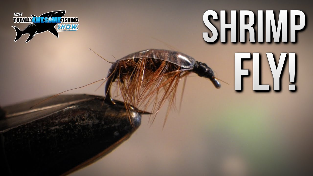 Fly Tying - THE SHRIMP | TAFishing - YouTube