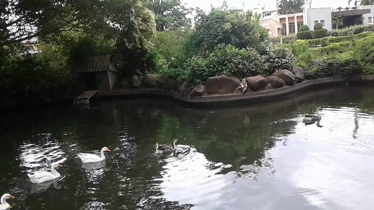 Shivamrut akluj - YouTube