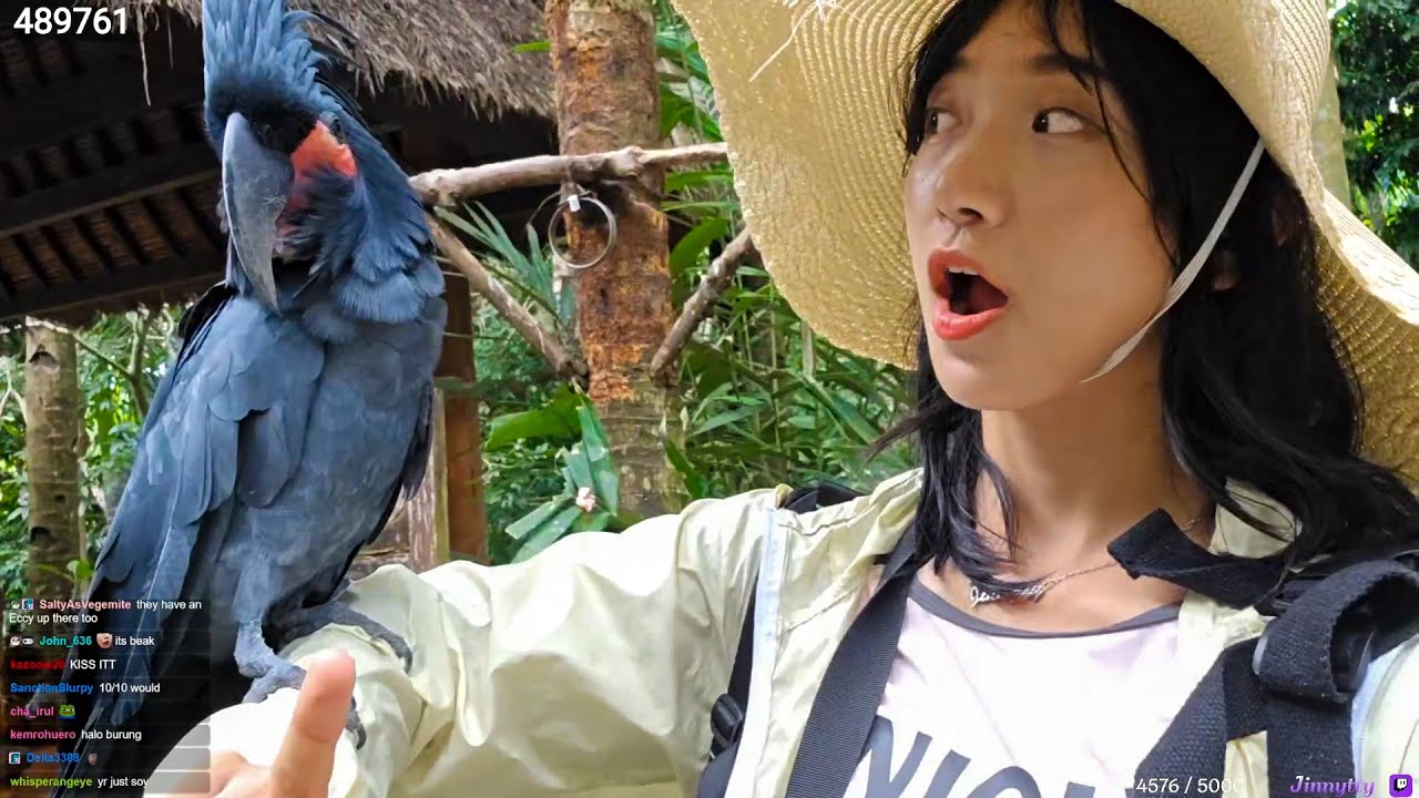 2024 05 30 - 1 MILLION SECOND STREAM: HIDDEN GEMS IN LOMBOK [ Part 13 ] - YouTube