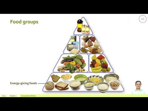 Components of Food - NCERT Science Grade 6 Chapter 2 - Part I - YouTube