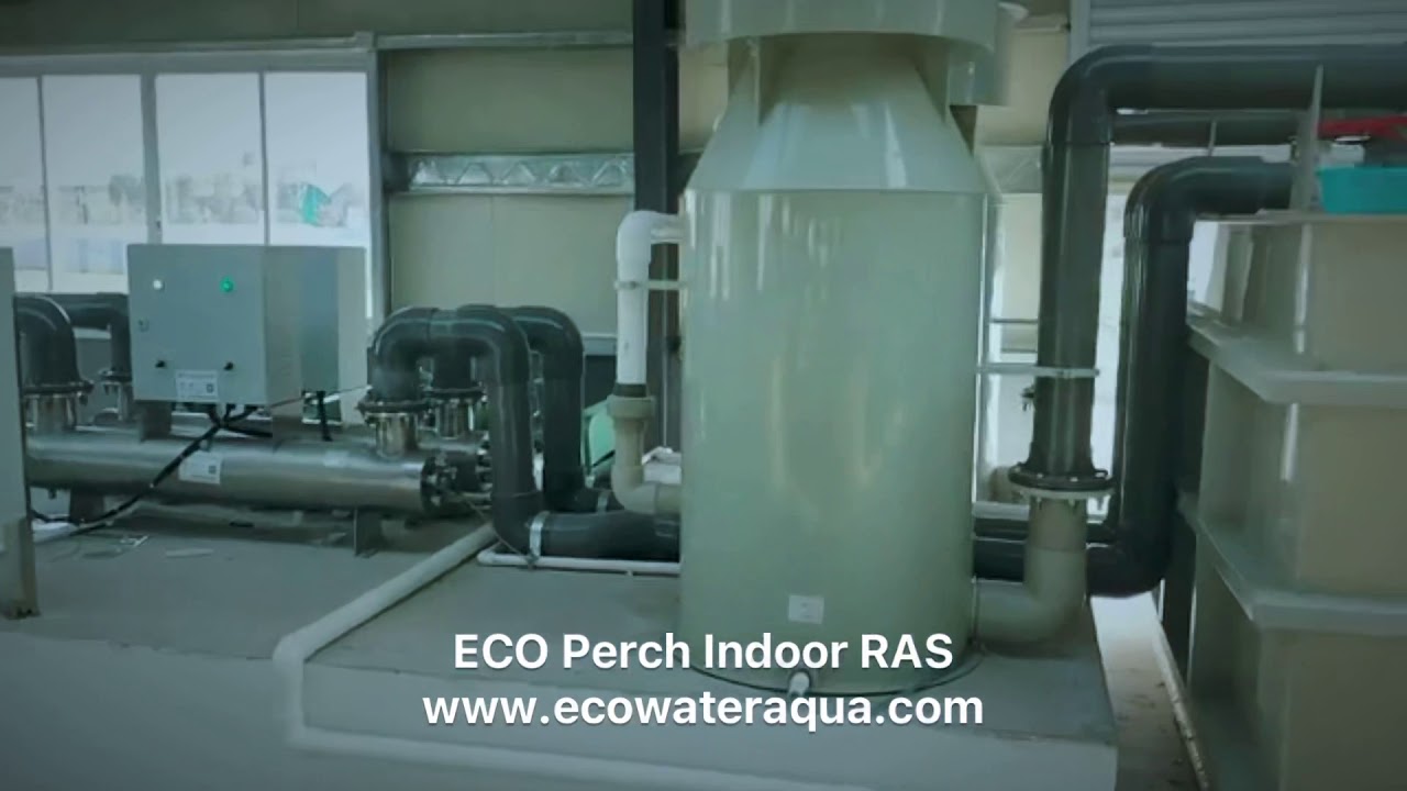 How to build a fish RAS system - YouTube