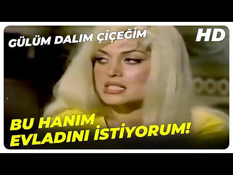 Gülüm Dalım Çiçeğim - Kadınlar Hamamına Çevirdiniz Burayı | Türkan Şoray Fikret Hakan Türk Filmi