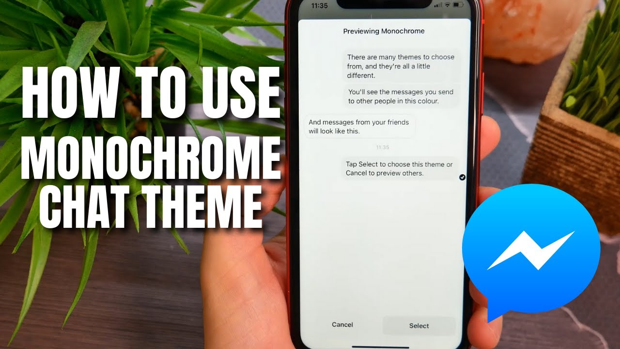 How to Use the Monochrome Chat Theme on Facebook Messenger in 2022 ...