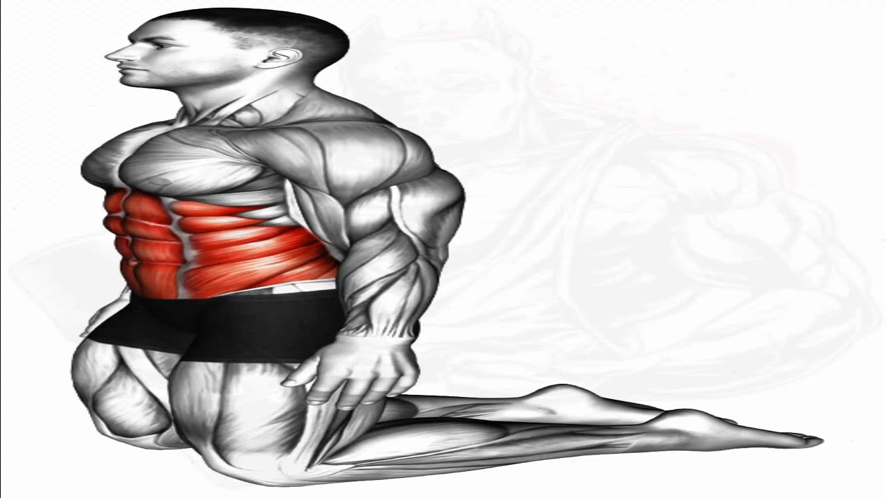 TOP 8 AB EXERCISES YOU NEED TO LEARN - YouTube