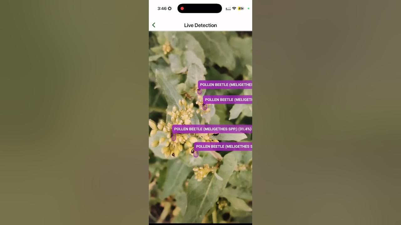 Pezego Demo: Transforming Pest Management with AI #Shorts - YouTube