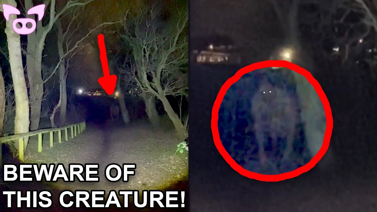 Creepy Videos That Will Grow Your Fear - YouTube