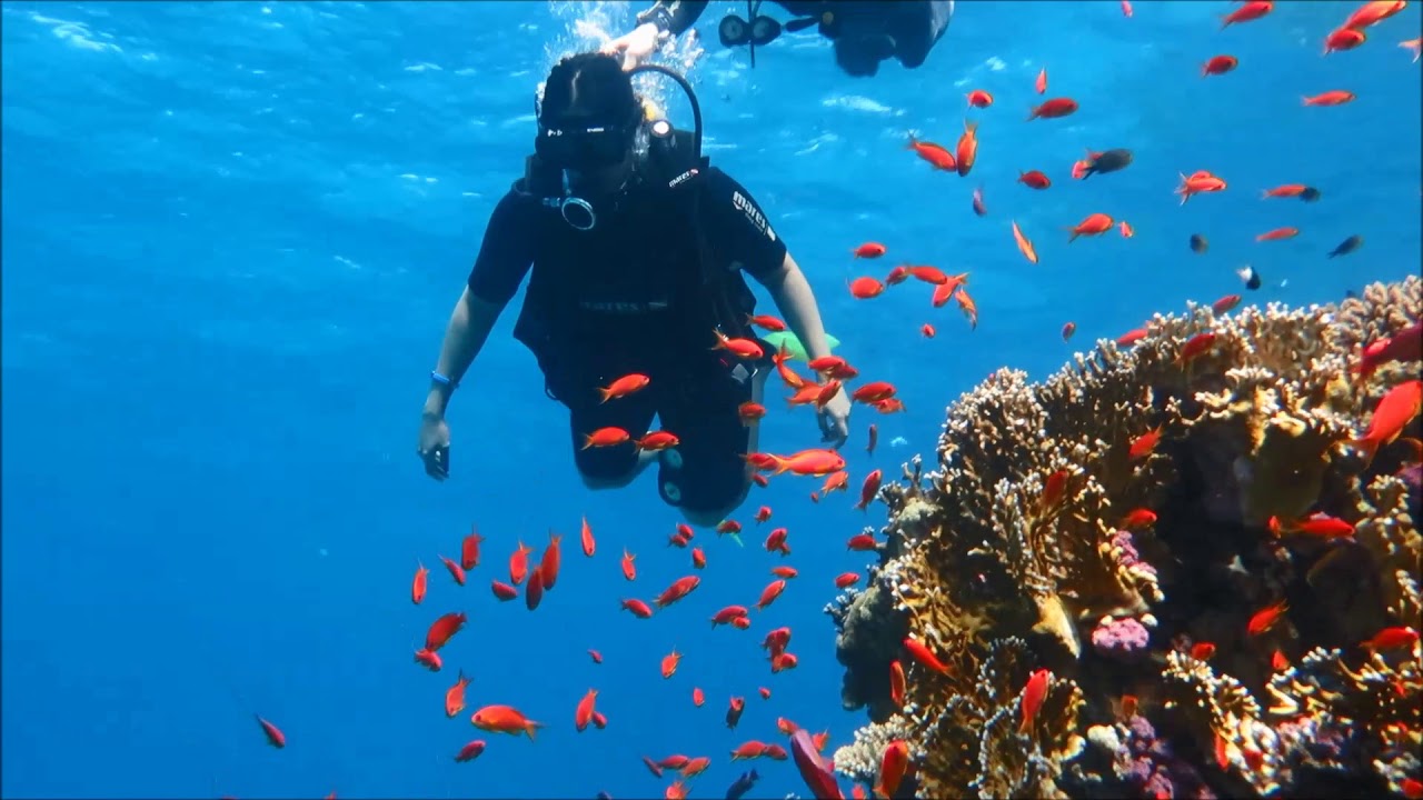 Discover Scuba Diving @ Pyramids Diving Center - Red Sea - YouTube