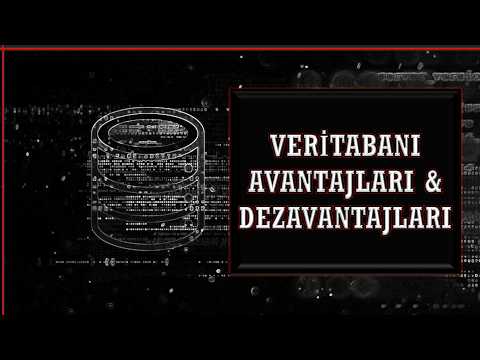 VERİTABANI TEMEL KAVRAMLAR | 4 - VERİTABANI AVANTAJLARI VE DEZAVANTAJLARI