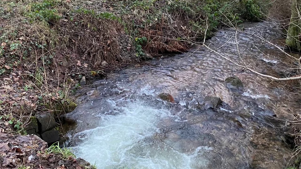 Spaziergang Wadrill /Reidelbach Januar 2021 - YouTube