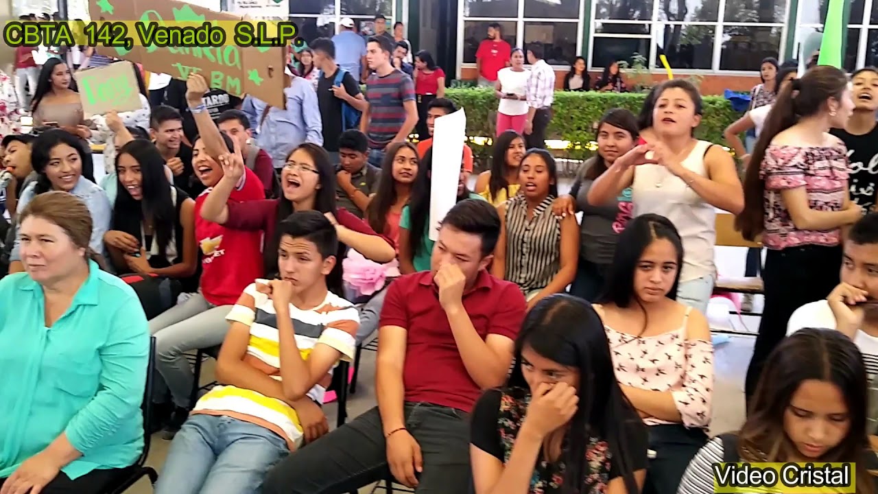 CBTA 142 Venado Elección Reina del estudiante 2018 Fotoestudio y ...