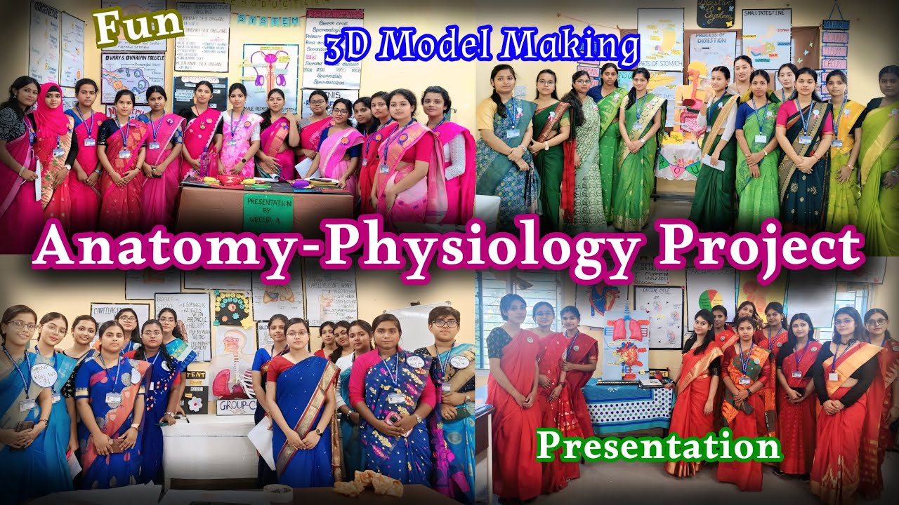 Project Day in Bsc nursing | Anatomy & Physiology | 3d model making ...