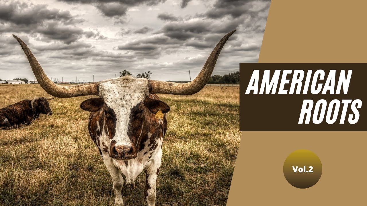 American Roots Music Vol. 2 - YouTube