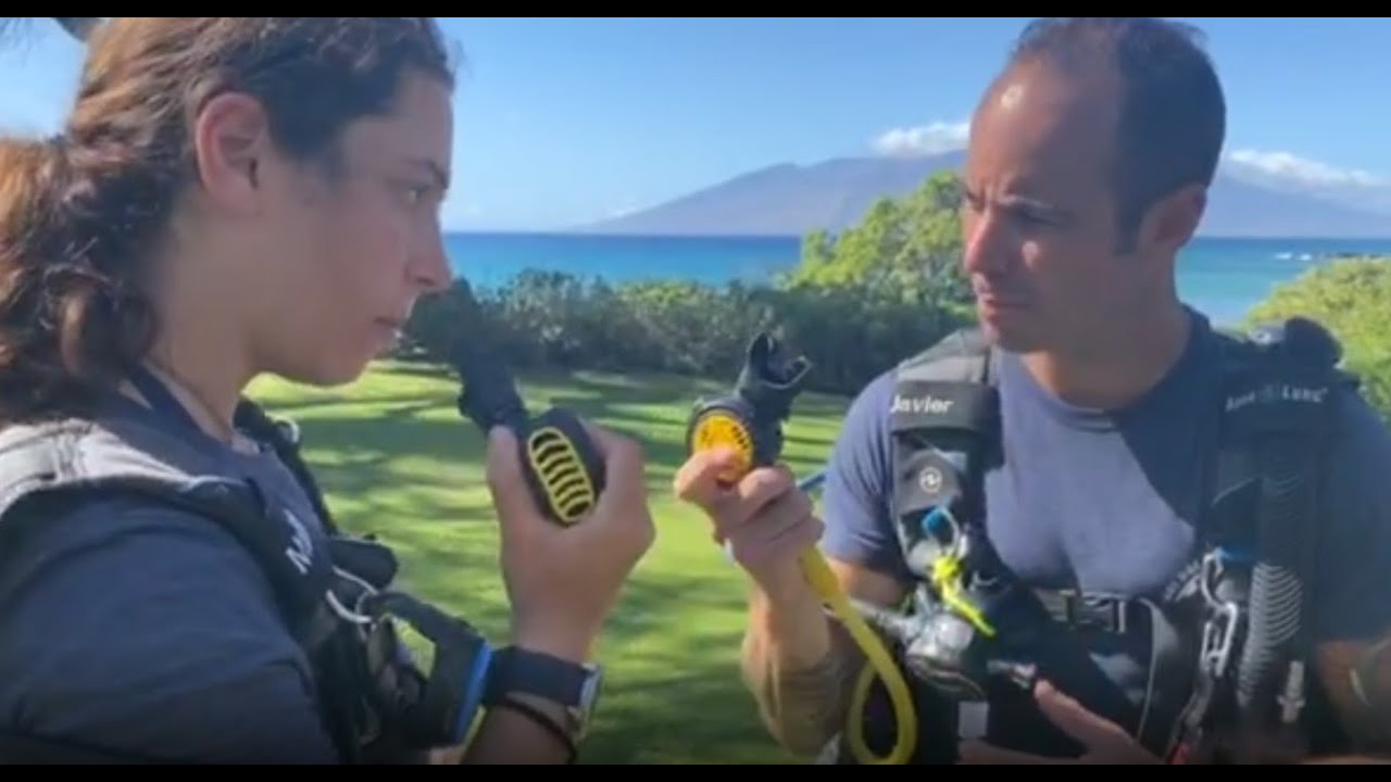 PADI Buddy Check - YouTube
