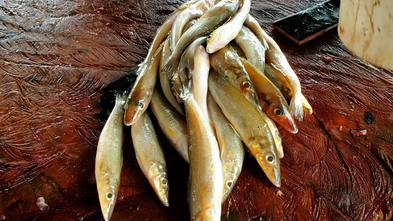 Silver Whiting Fish | Sillago Sihama | Silver Sillago | Fish Cutting ...