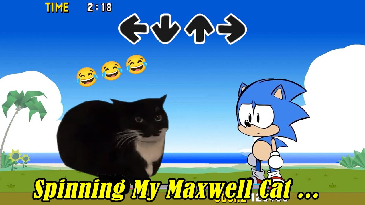 Spinning My Maxwell cat ... 😂😂😂Spinning My Tails But It's Maxwell The ...