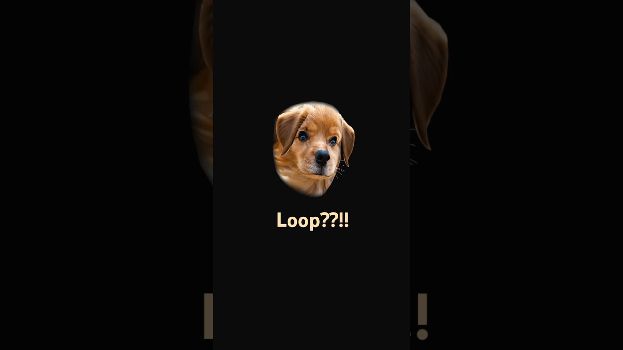 Is it a loop?🔁 👀😜#dog #trending #loop #funny #satisfyingloop #doglover #cute #filter #cutedog ...