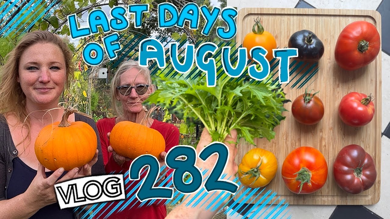 Last days of August. Tomatoes, pumpkins and still planting out! Ep282 II Plot 37 - YouTube