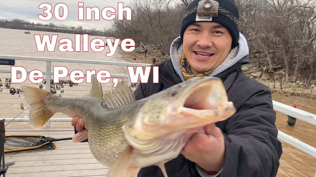 I Catch A Rare 30 Inch Walleye In De Pere, WI - YouTube