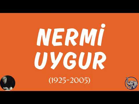 Nermi Uygur, Edebiyat ı Şarkı