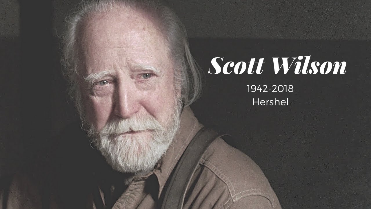 Scott Wilson