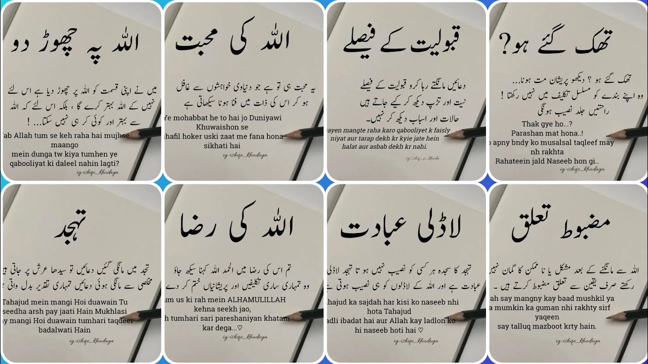 Best Islamic quotes for WhatsApp status | Islamic dp | golden words ...