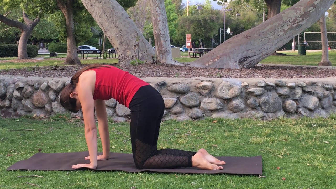 Yoga Cat Pose - YouTube