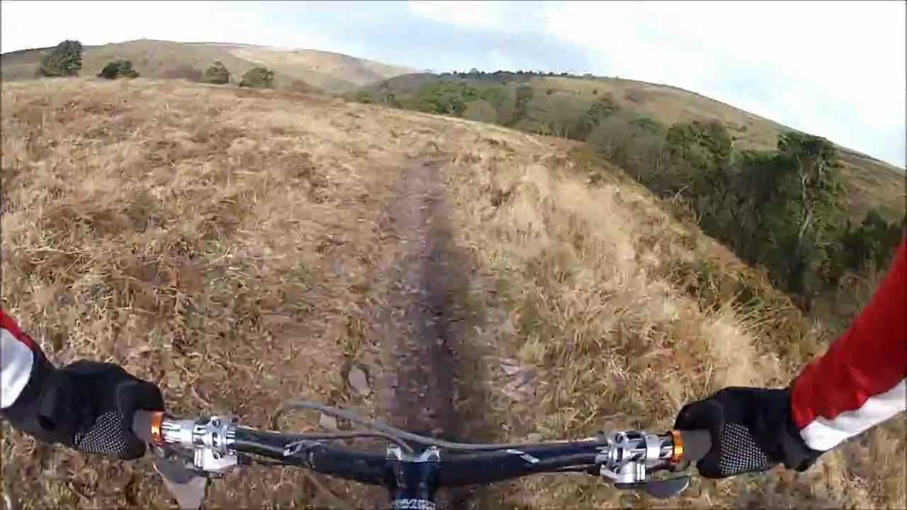 Quantocks - Somerton Combe descent MTB - YouTube