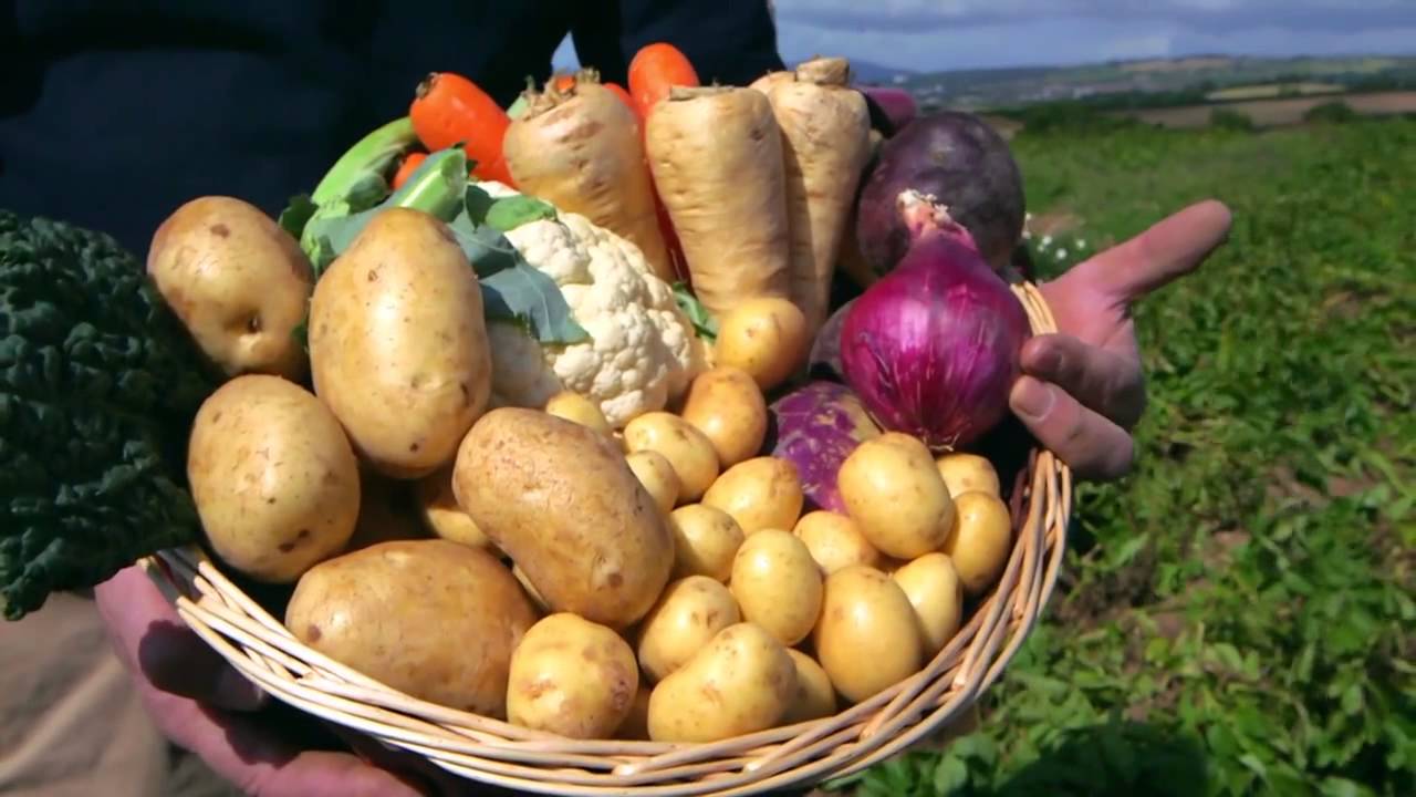 Mash Direct's First TV Advert - YouTube