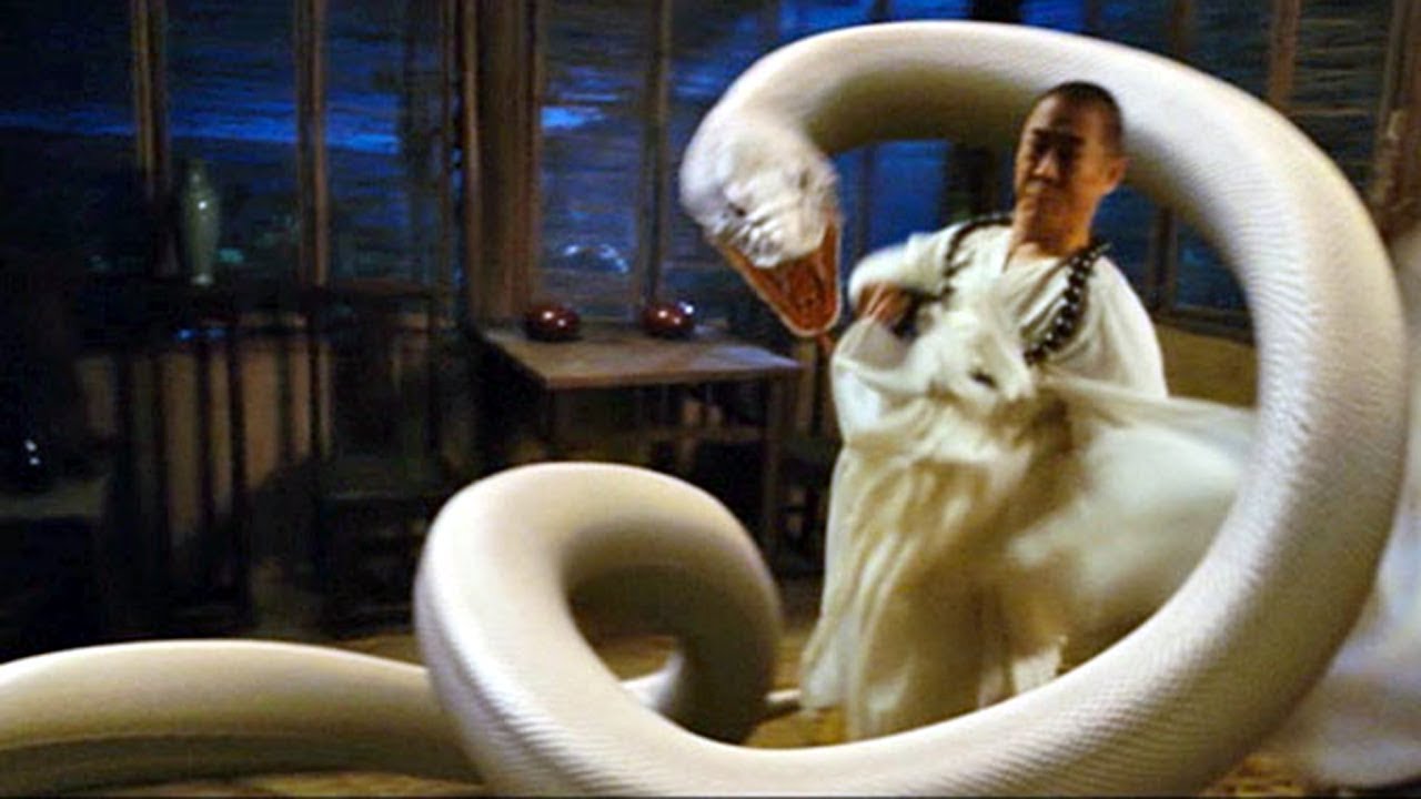 Jet Li vs Big Snake | The Sorcerer and the White Snake (2011) | Best ...