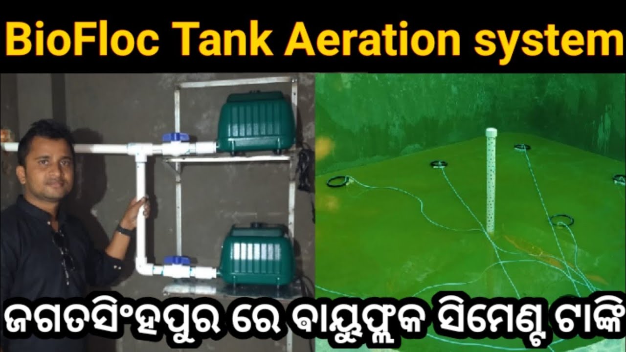 BioFloc aeration system //AirOxi tube instillation in BioFloc tank ...