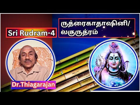 Sri Rudram 4, ஸ்ரீருத்ரம் , ருத்ரைகாதாஷினி / லகுருத்ரம் , Dr ...