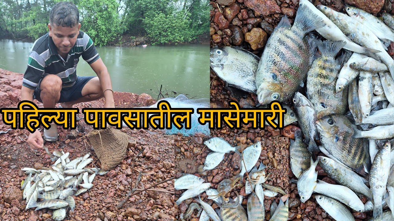 पहिल्या पावसाची मासेमारी - konkan fishing - YouTube