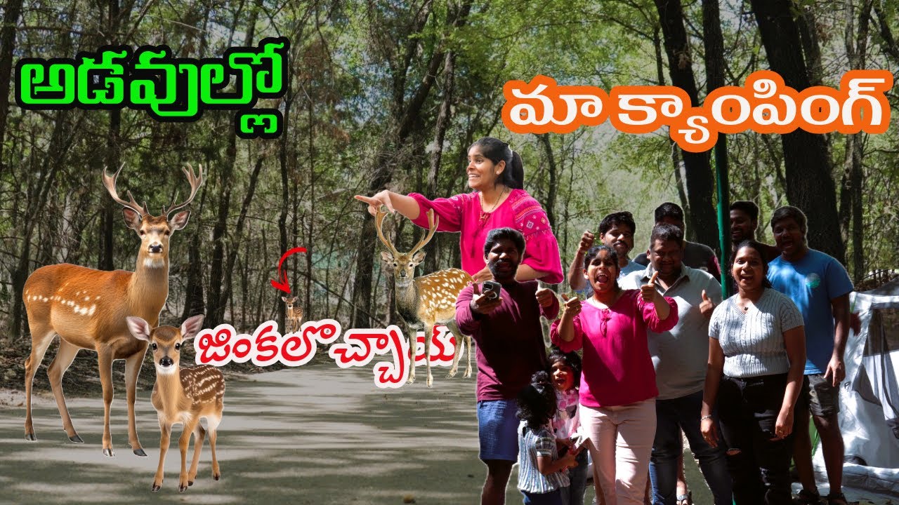 Camping in the Wild with Friends and Deer | Ray Roberts lake Day 2 ...
