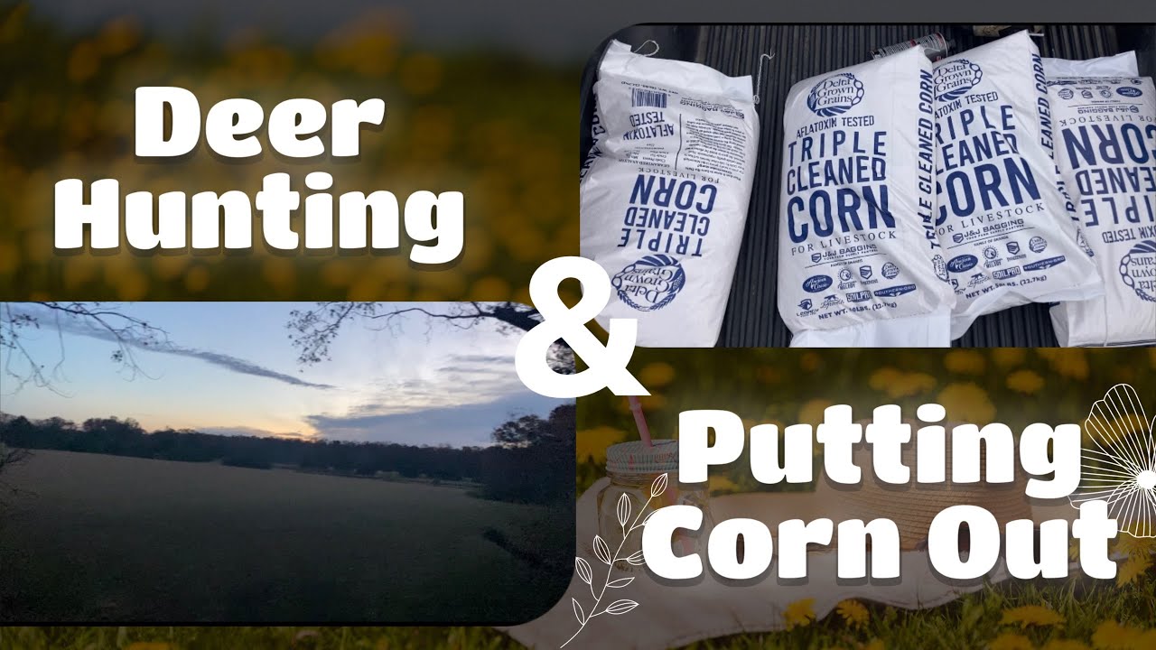 DEER HUNTING | PUTTING CORN OUT - YouTube