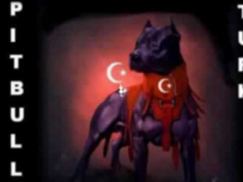 ork. 5 milyar - adama bak adama