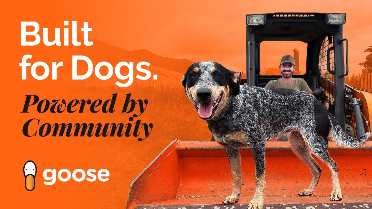 How This Maui Dog Ranch Stepped Up After Disaster - YouTube