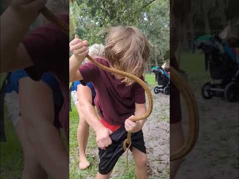 There's a snake in my pants