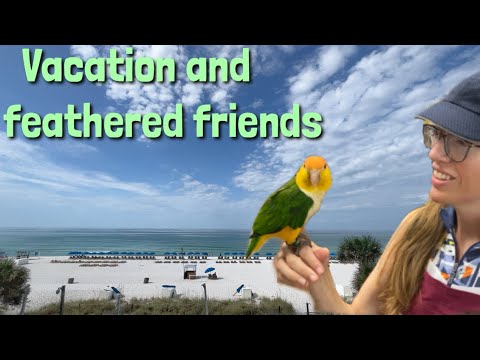 Vacation bound, heat wave and feathered friends 🐦